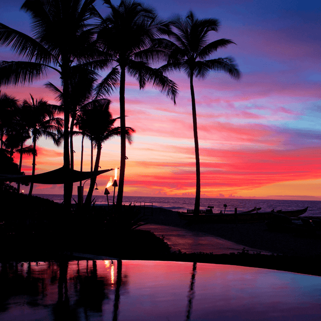 Leonora Tropical Sunset Fragrance Oil – Craftiful Fragrance Oils